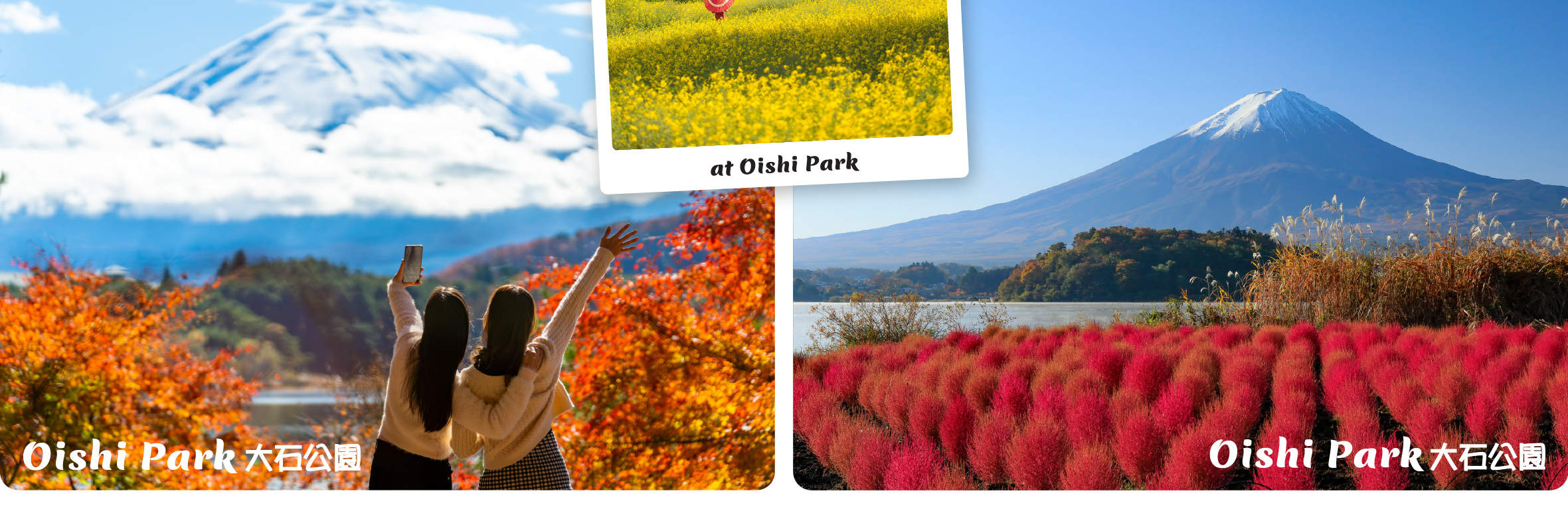 [Mt. Fuji & Hakone] Fujisan Yumeno Ohashi, Owakudani, Oshino Hakkai ...