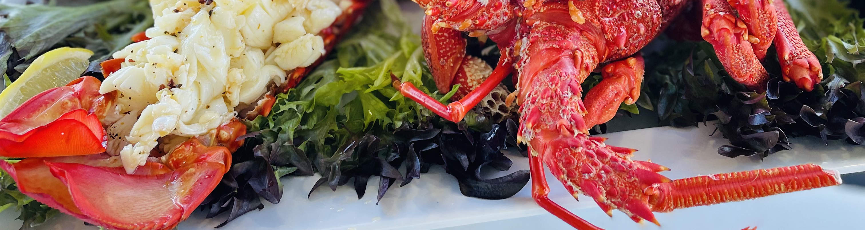 Deep-to-Dish: Tasmanian Seafood Cruise from Hobart - Klook Hong Kong
