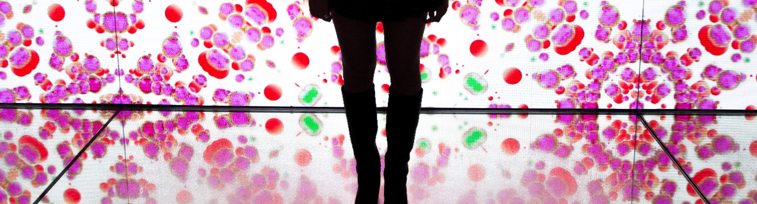 Boleto de entrada al Museo Moco en Ámsterdam - Klook Estados Unidos