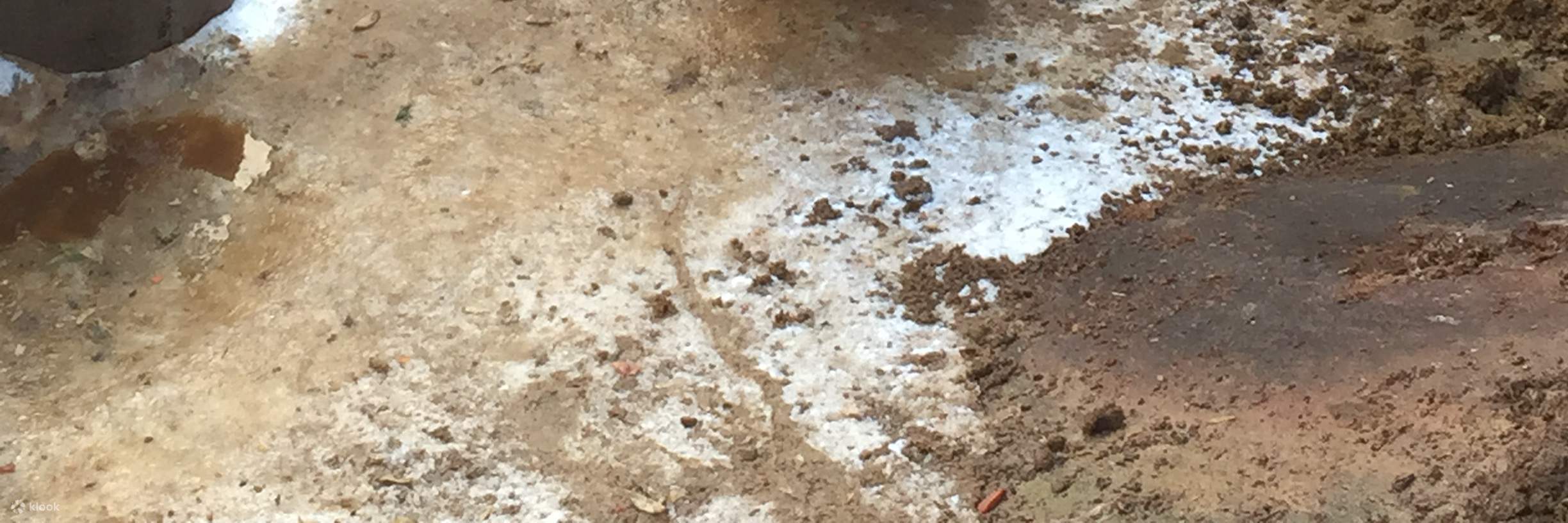 Lake Toya Snowmobile Experience, Toya Bear Ranch, Internet-Famous Lake ...