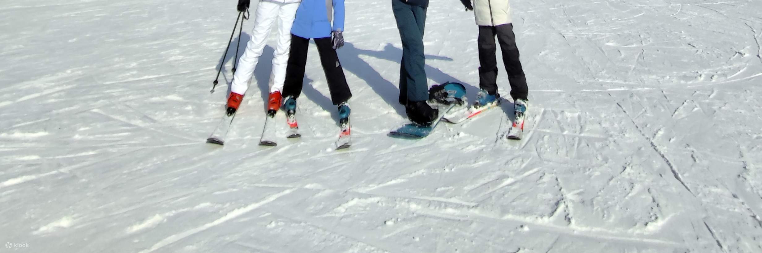Private Ski Lessons at Alpensia resort with Professional Instructor ...
