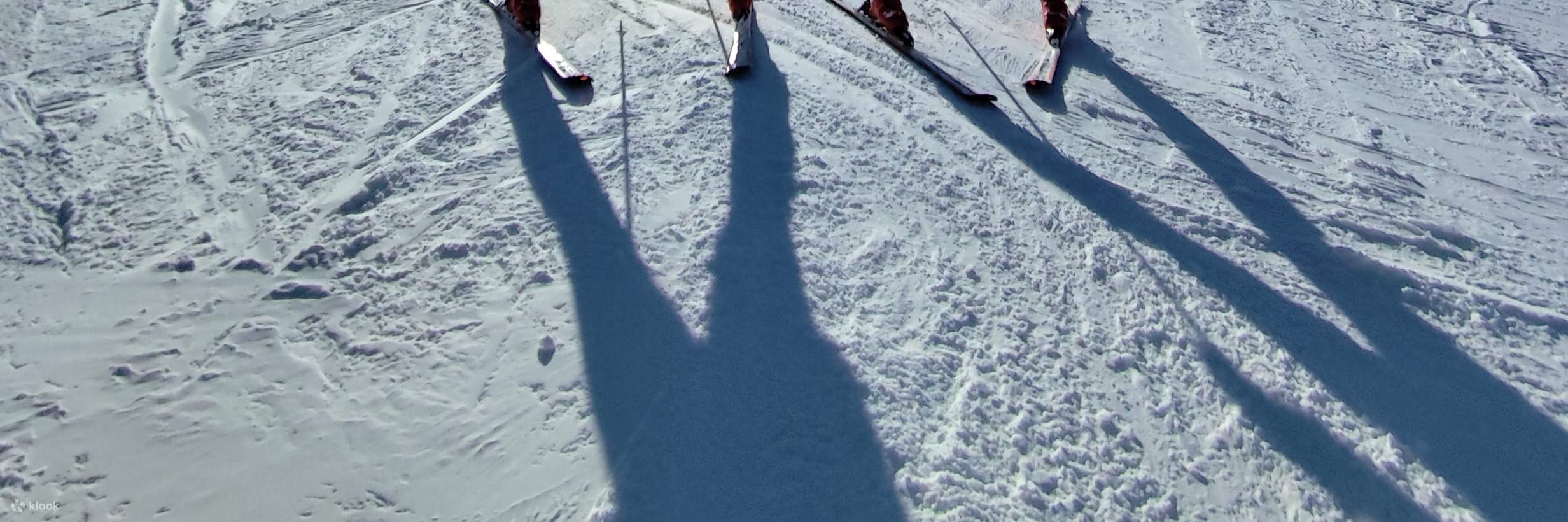 Private Ski Lessons at Alpensia resort with Professional Instructor ...