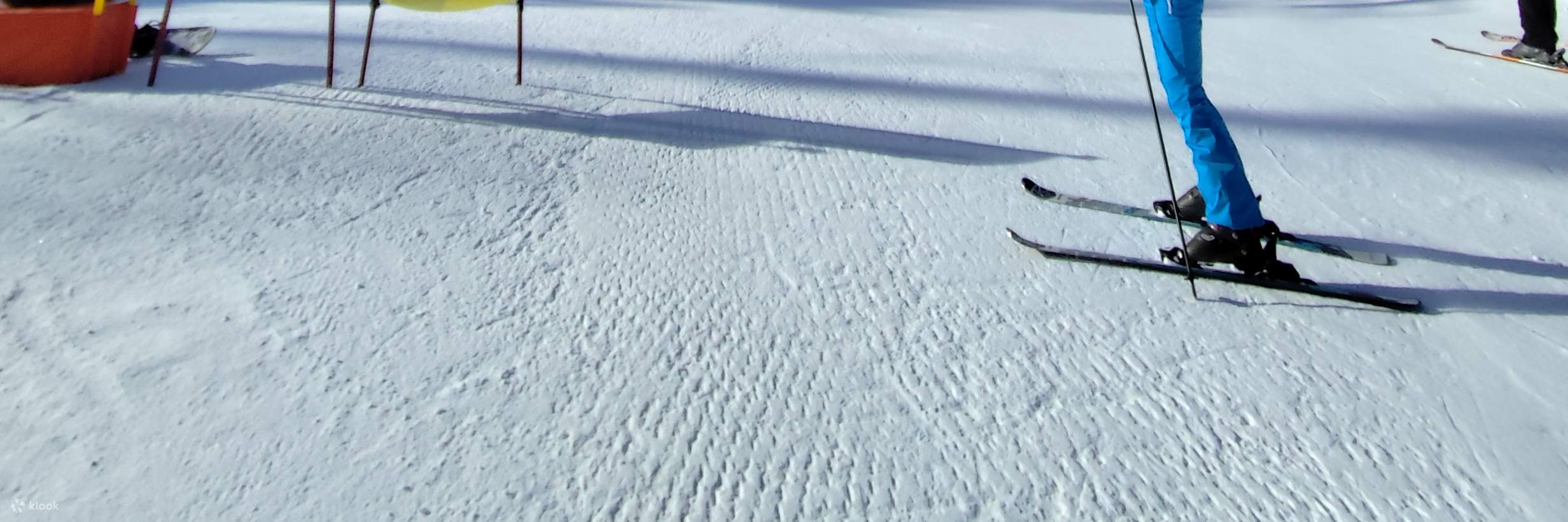 Private Ski Lessons at Alpensia resort with Professional Instructor ...