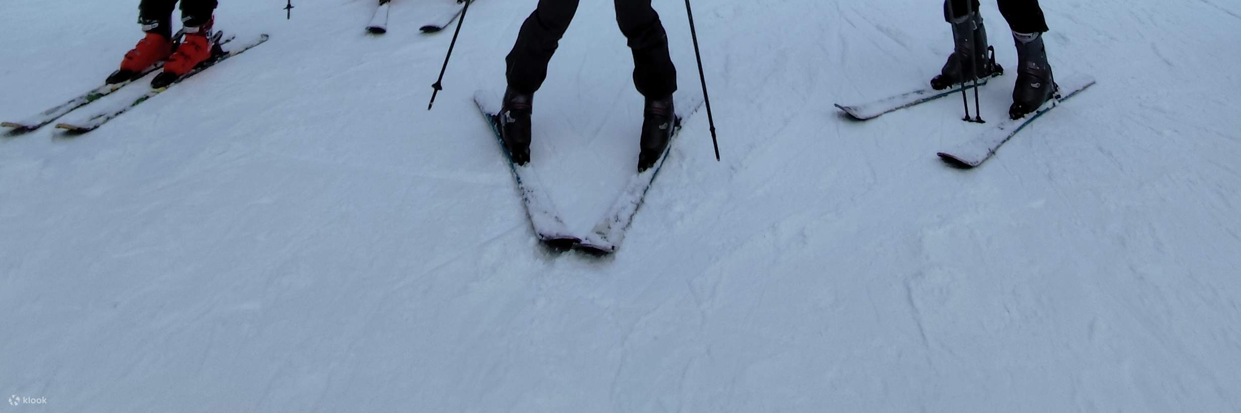 Private Ski Lessons at Alpensia resort with Professional Instructor ...