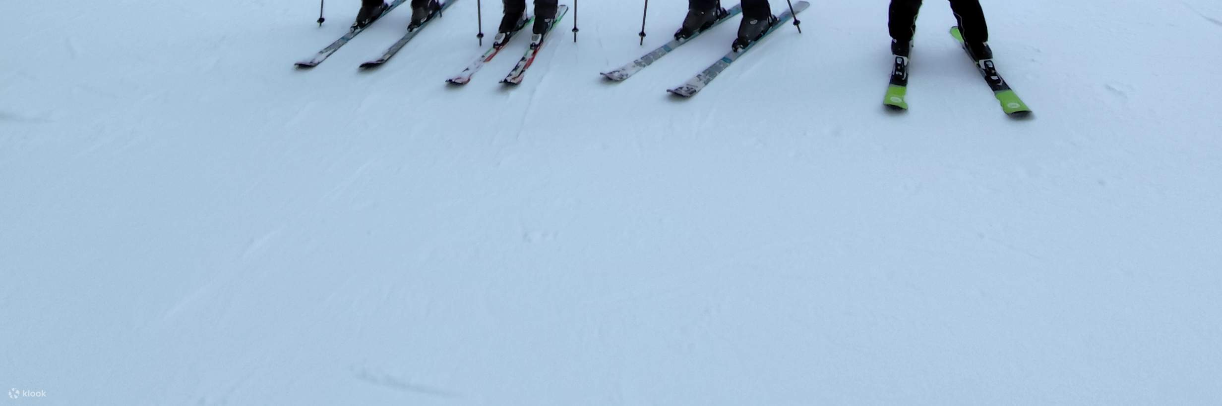Private Ski Lessons at Alpensia resort with Professional Instructor - Klook