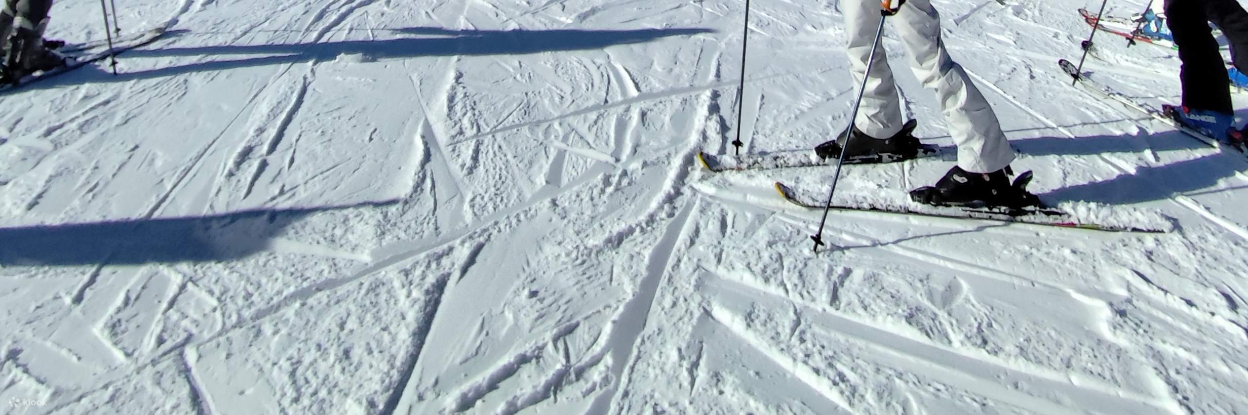 Private Ski Lessons at Alpensia resort with Professional Instructor - Klook