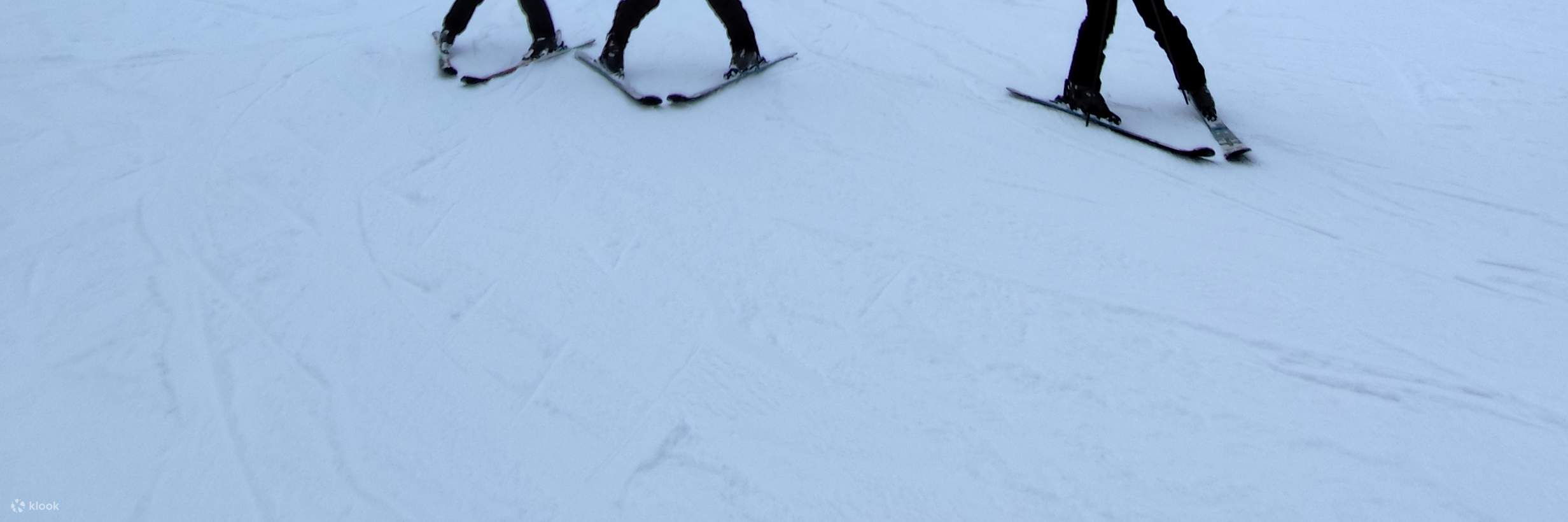 Private Ski Lessons at Alpensia resort with Professional Instructor ...