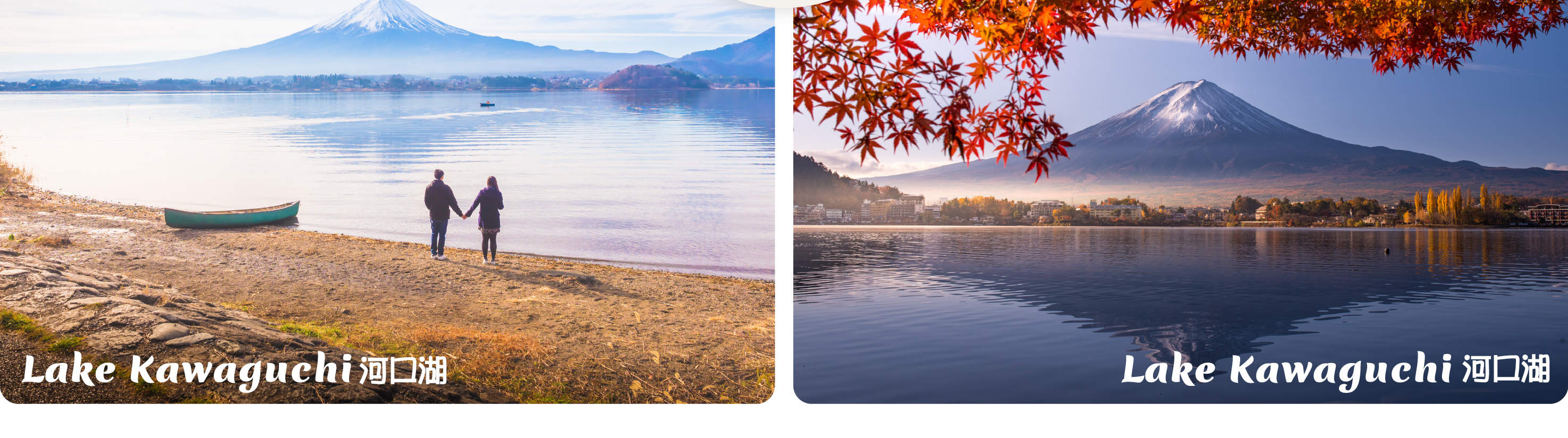 [Mt. Fuji & Hakone] Fujisan Yumeno Ohashi, Owakudani, Oshino Hakkai ...