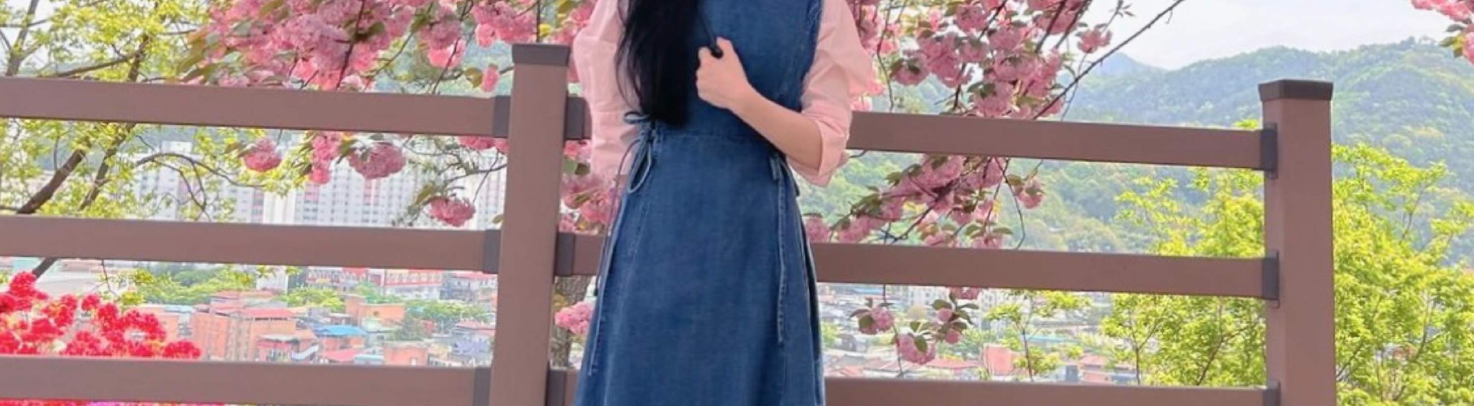 King Cherry Blossom Tour from Busan - Klook