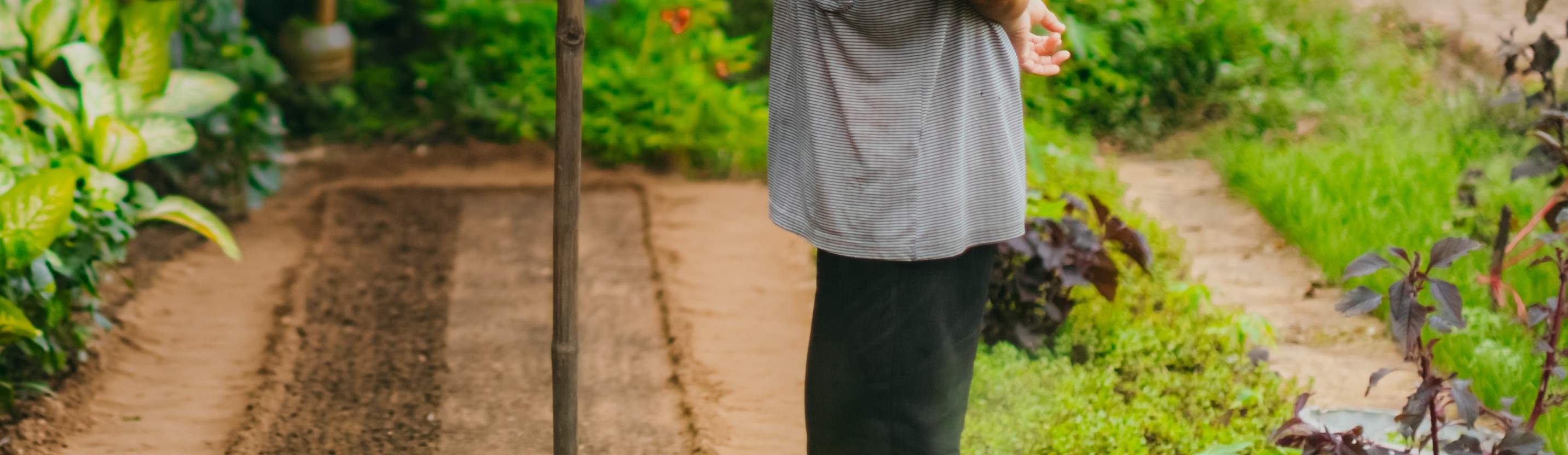 HoiAnGO Local Life Experience: Countryside by E-Car - Klook Philippines