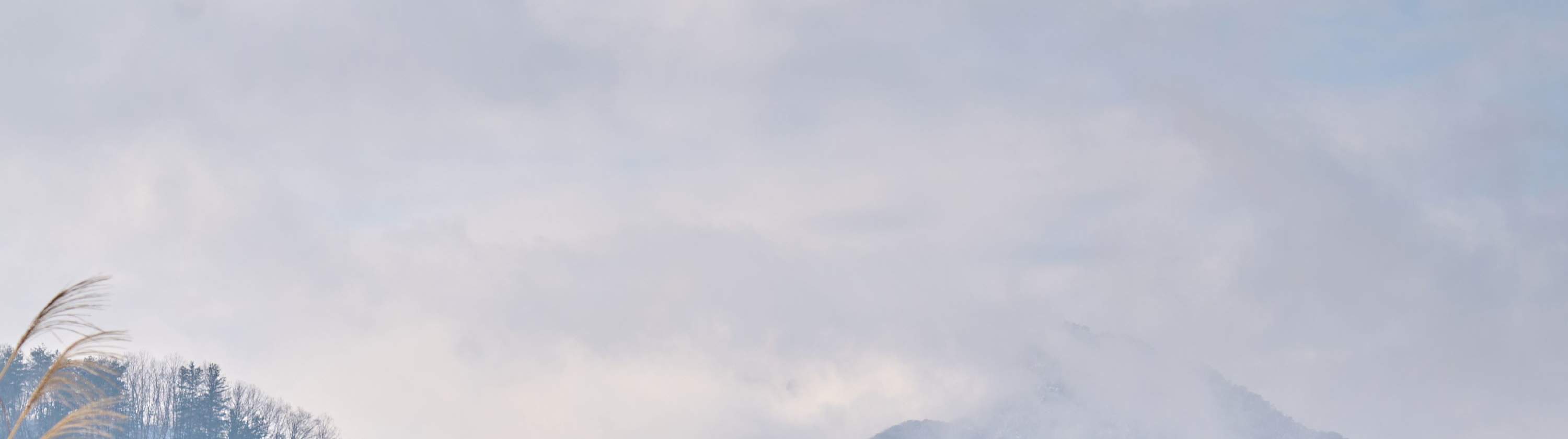 Nami Island & Eobi Ice Valley & Panorama Field & Morning Calm Tour - Klook