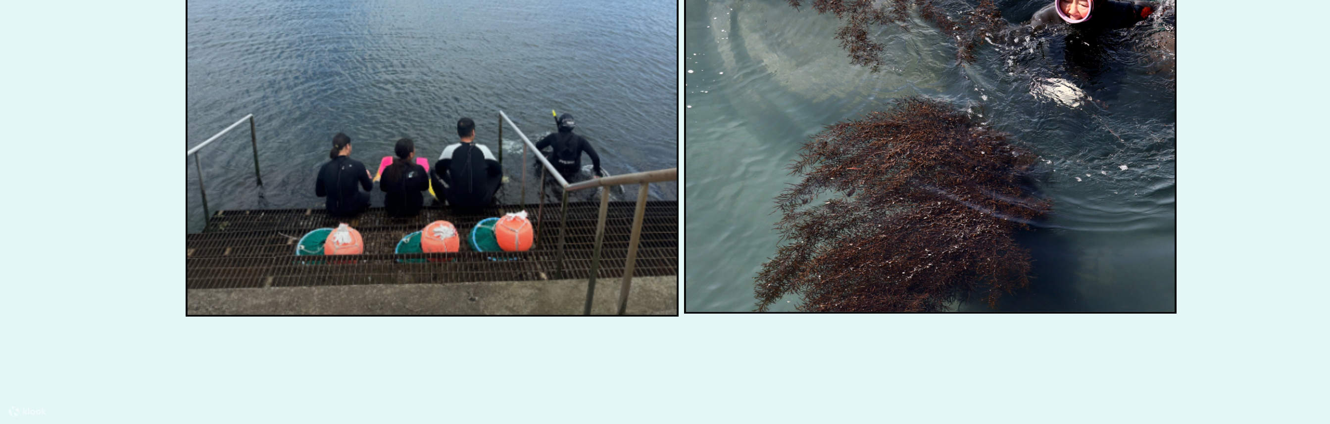 Experience Haenyeo Diving : Female Divers in Jeju - Klook United States