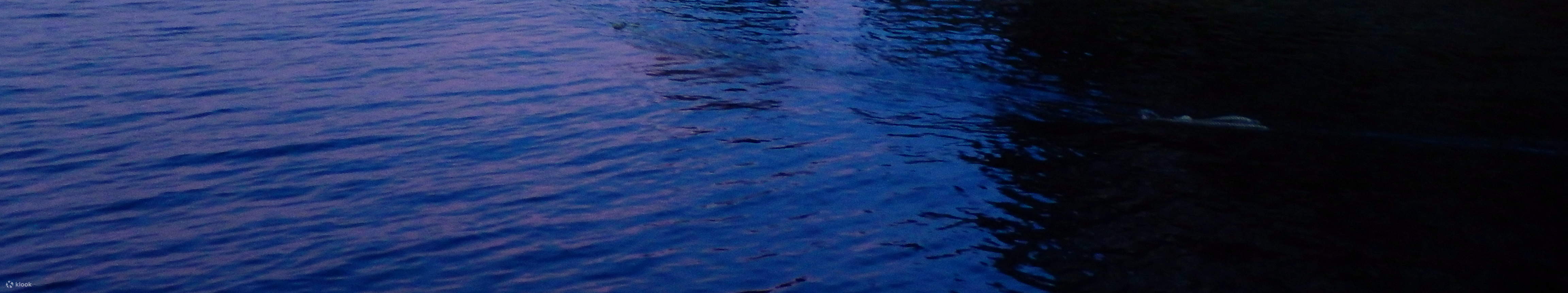 Dive Tour Sail Rock in Koh Samui with PADI 5 Star Dive Center - Klook ...