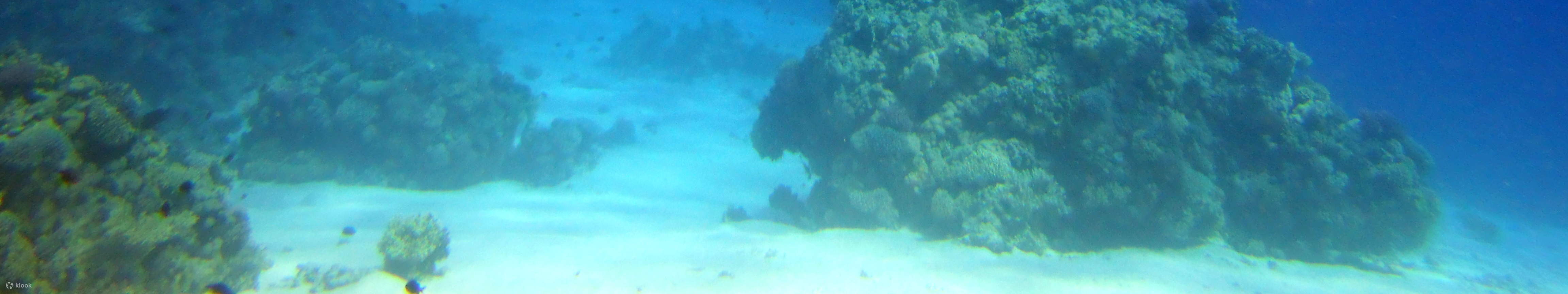 在濤島體驗PADI水肺潛水探索，合作方為PADI五星級CDC - Klook 客路