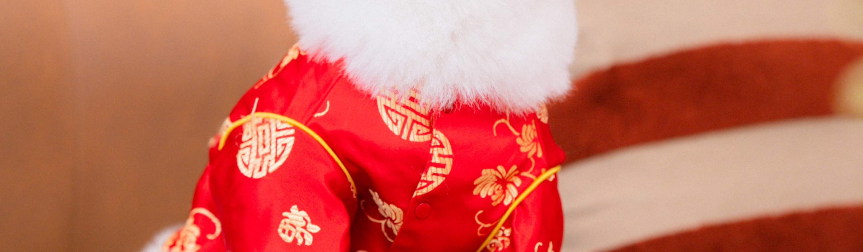 Celebrate the Lunar New Year: Year of the Dragon Family Portrait ...