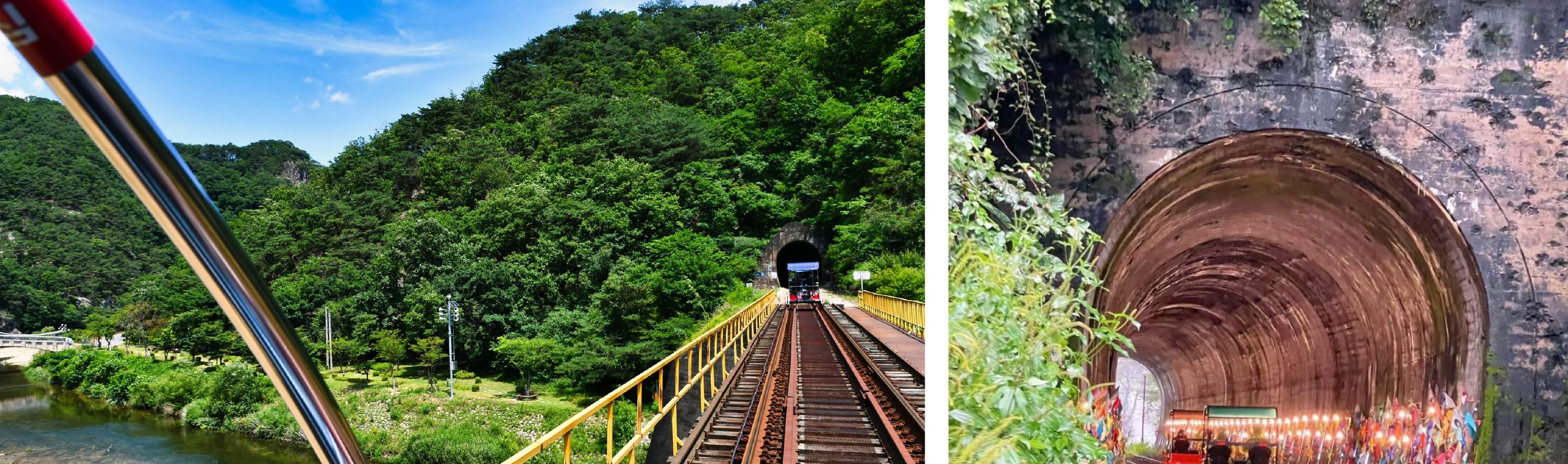 Nami Island & Nijimori Japan & Morning Calm & Railbike & Alpaca - Klook