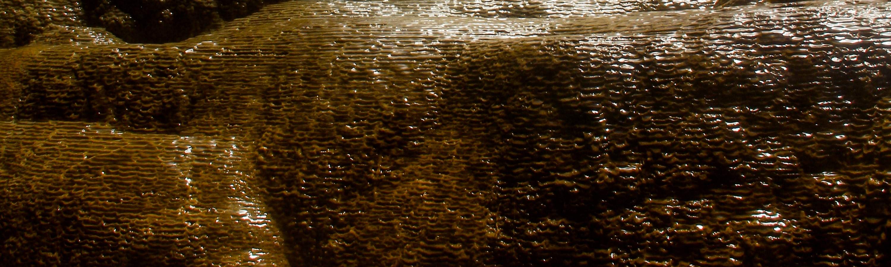 Merapi Jeep Sunrise, Gua Jomblang & Pindul, Hutan Pinus Pengger - Klook ...