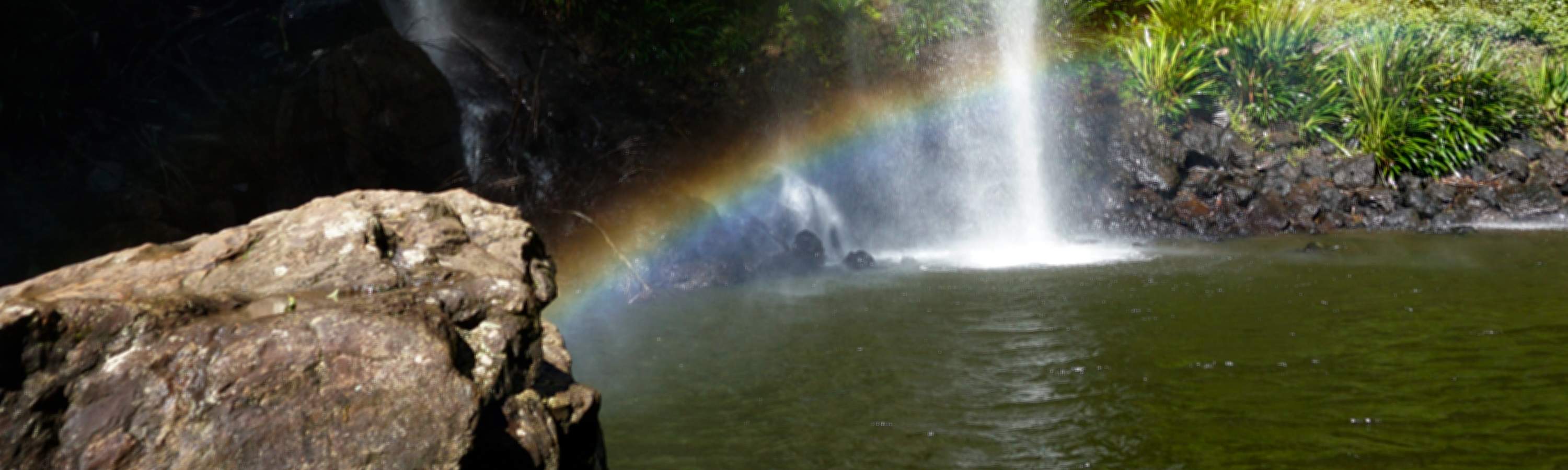 Gold Coast Rainforest and Waterfalls Day Tour - Klook Singapore