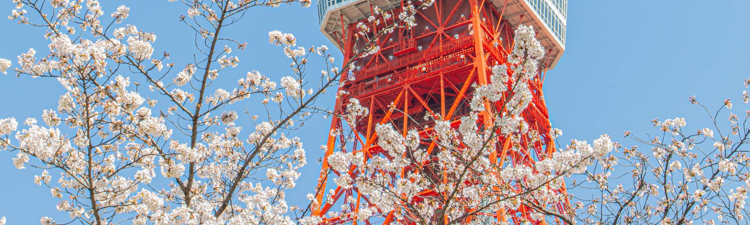 Tokyo Tower Observatory Ticket - Klook