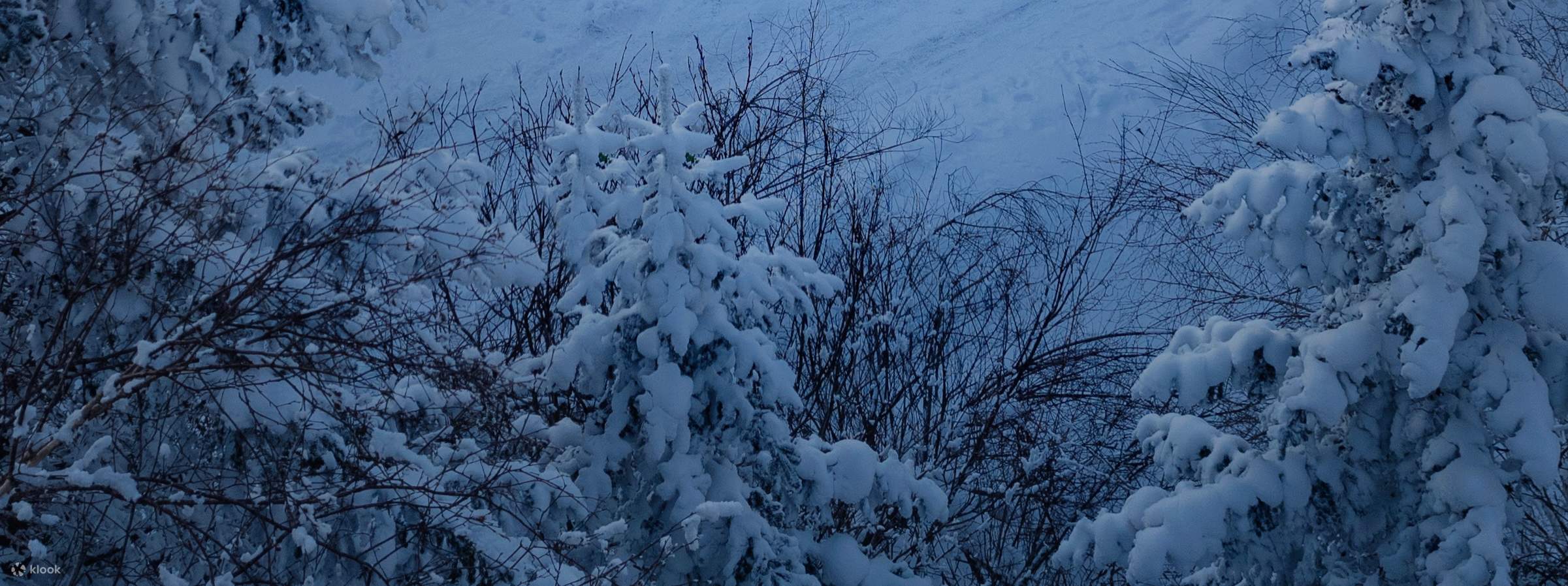 7-Day Northeast Changbai Mountain Songling Snow Village Tour (Jilin ...