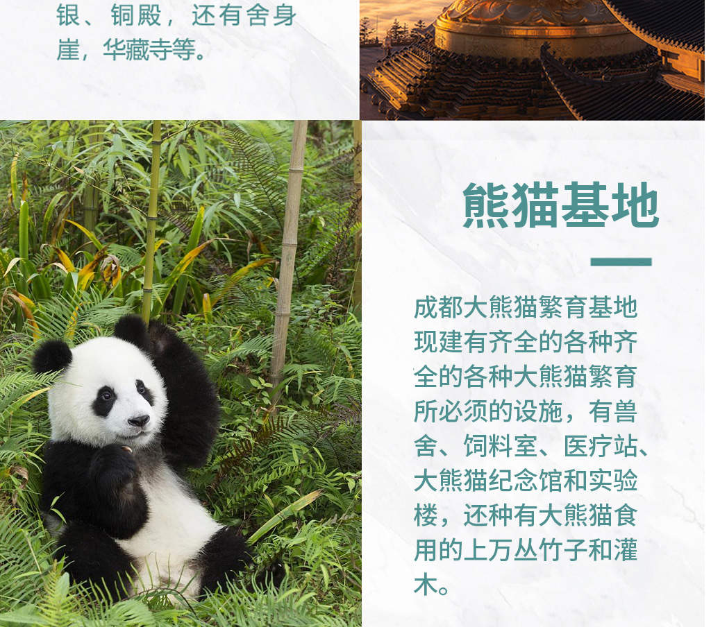 Panda Base Emeishan Leshan 3-day + X private tour (see the cute panda ...