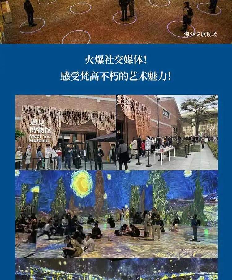 Meet the Museum (Nanjing) - Meet Van Gogh Immersive Light and Shadow ...