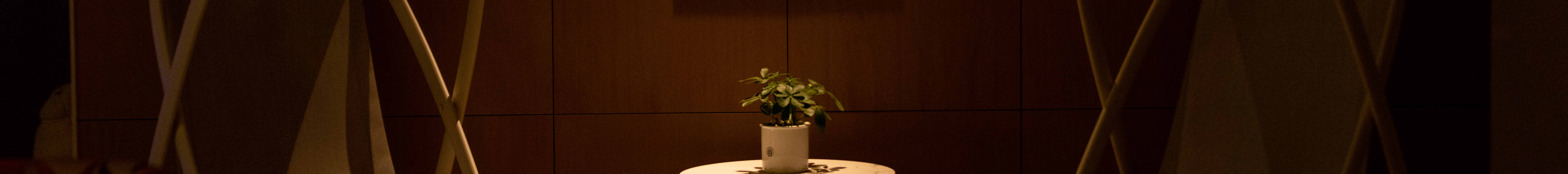 Tang Yue Hot Spring Sauna | SPA. Japanese/Thai Massage. Sauna. Premium ...