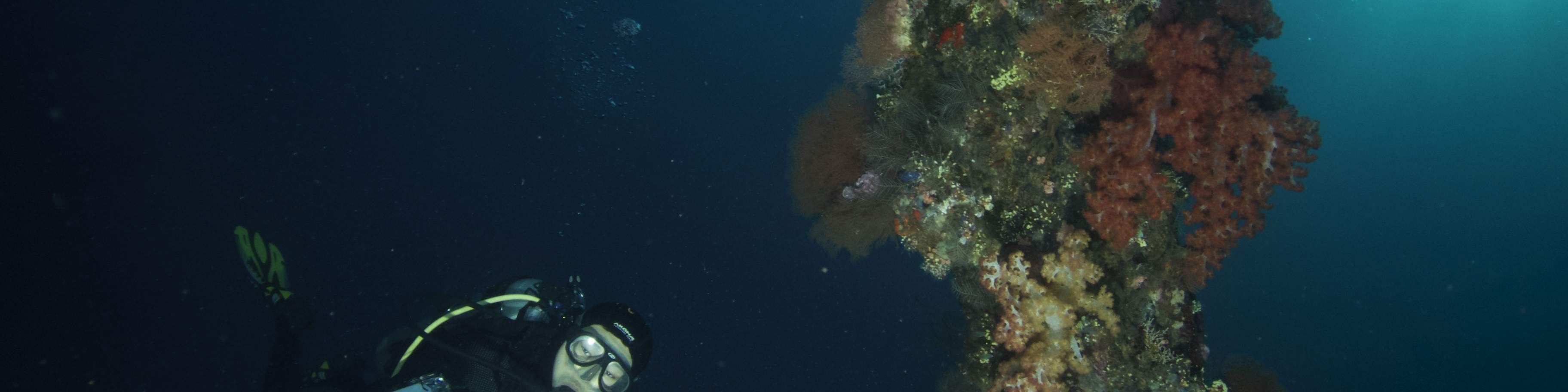 Experience Unforgettable Underwater Adventures with 2 Dives at USAT ...