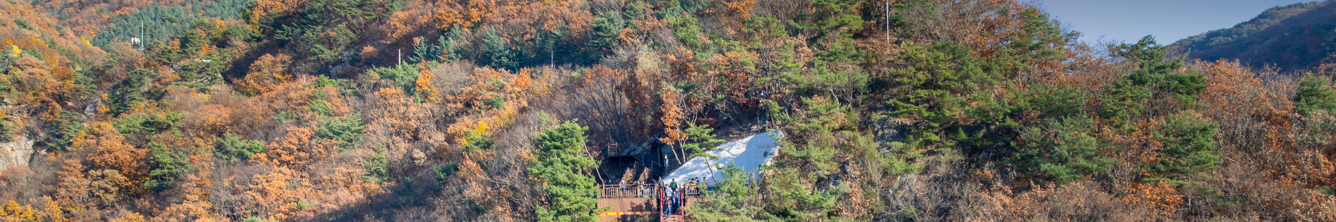 DMZ Half Day Guided Tour from Seoul - Klook