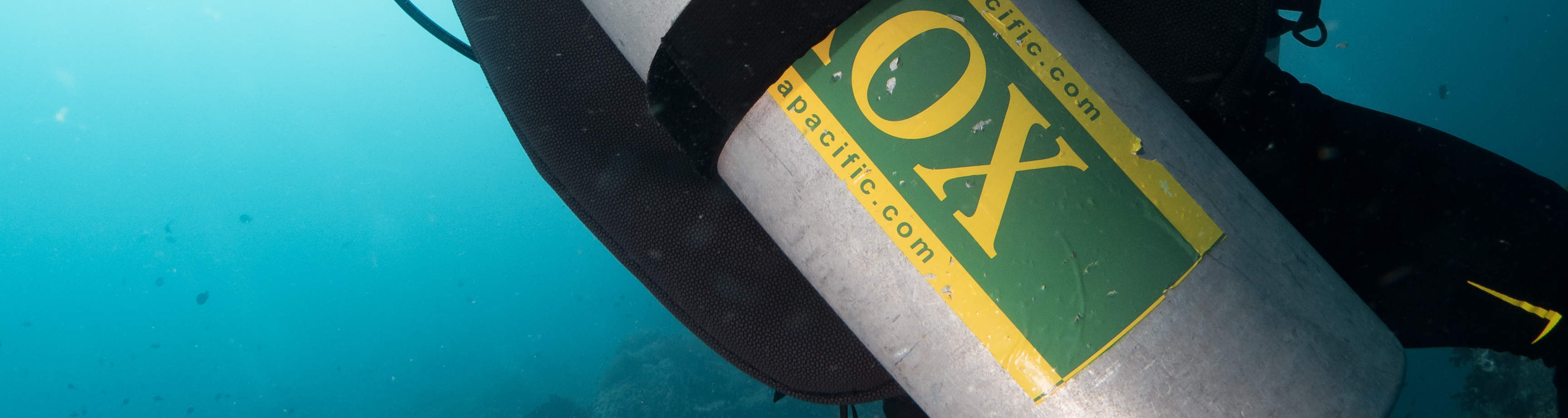 Learn PADI Enriched Air Diver in Koh Tao at PADI 5 Star IDC Resort ...