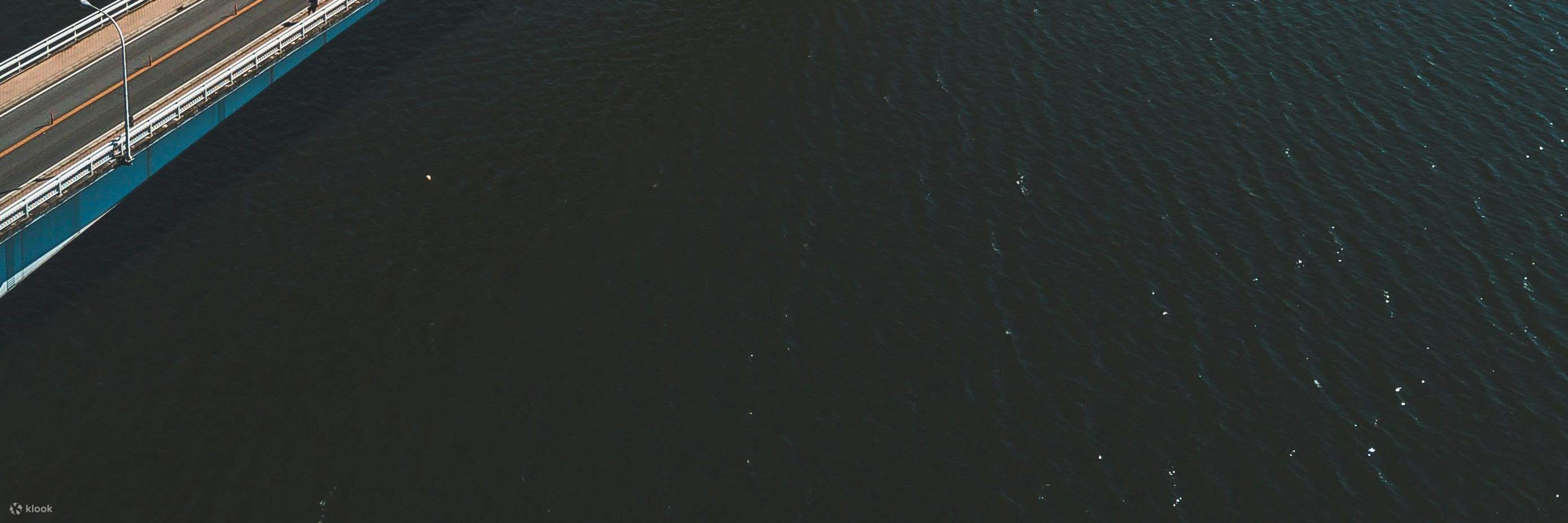 Mount Fuji,Hakone Private Tour By Car With Pick Up - Klook India