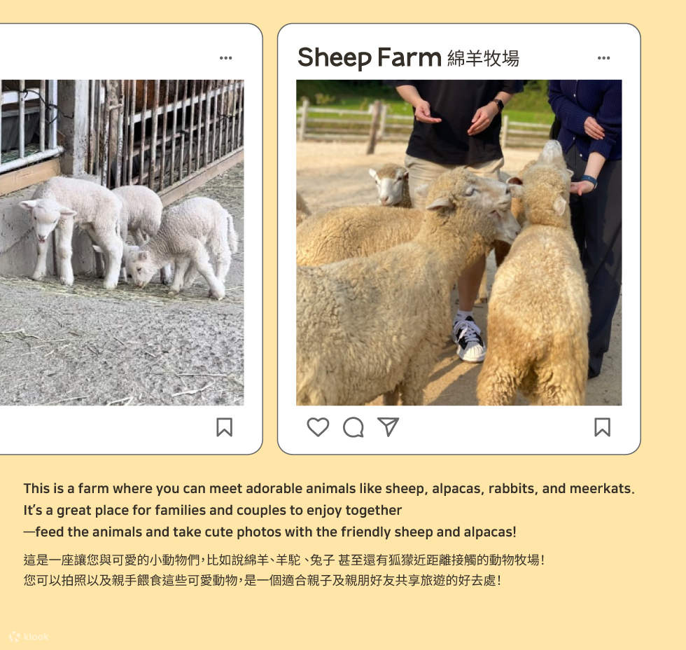 Beautiful Countryside 4 Seasons Day Tour from Seoul - Klook United States