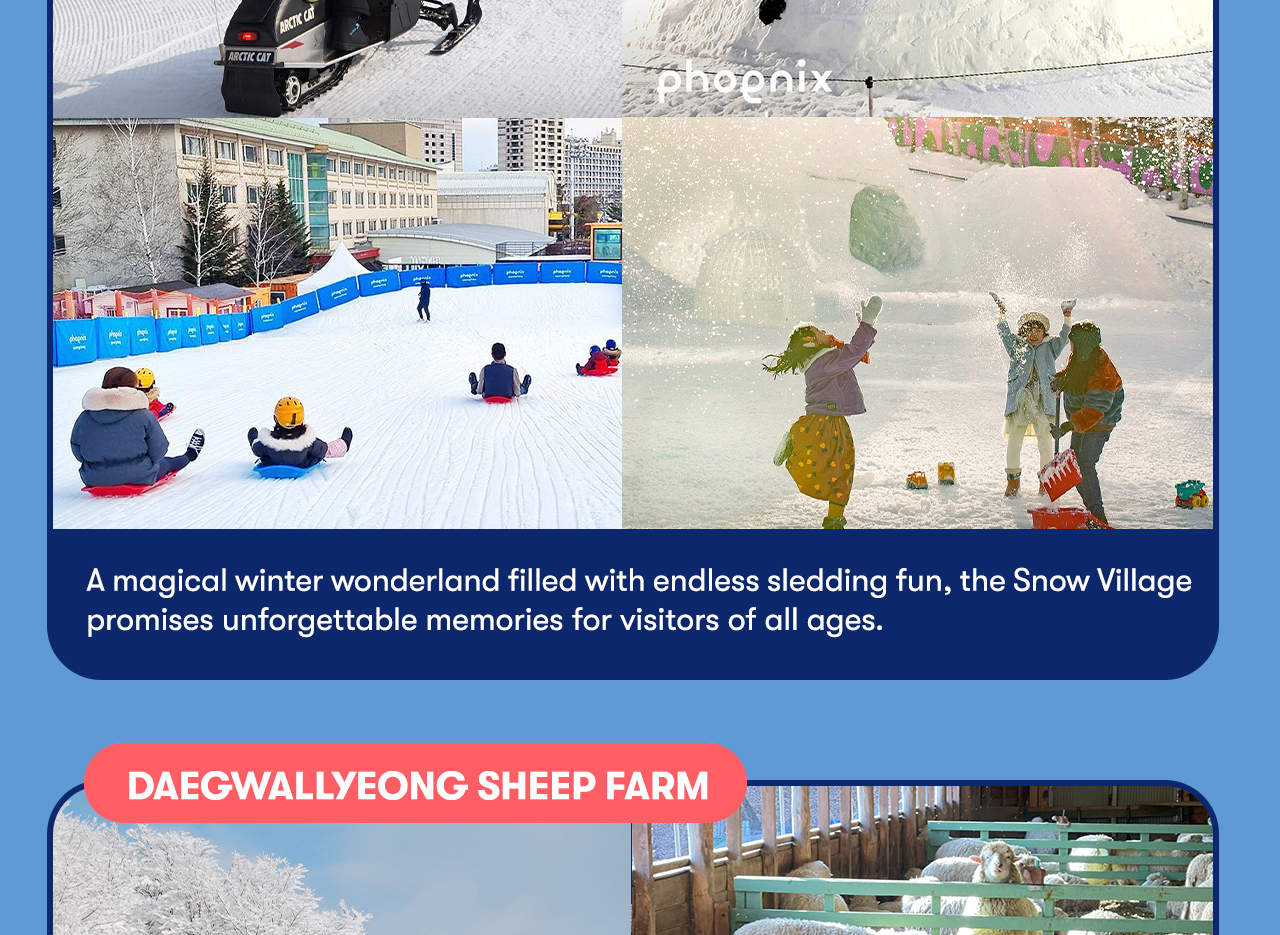 Pyeongchang Phoenix Park and Daegwallyeong Sheep Farm Tour - Klook