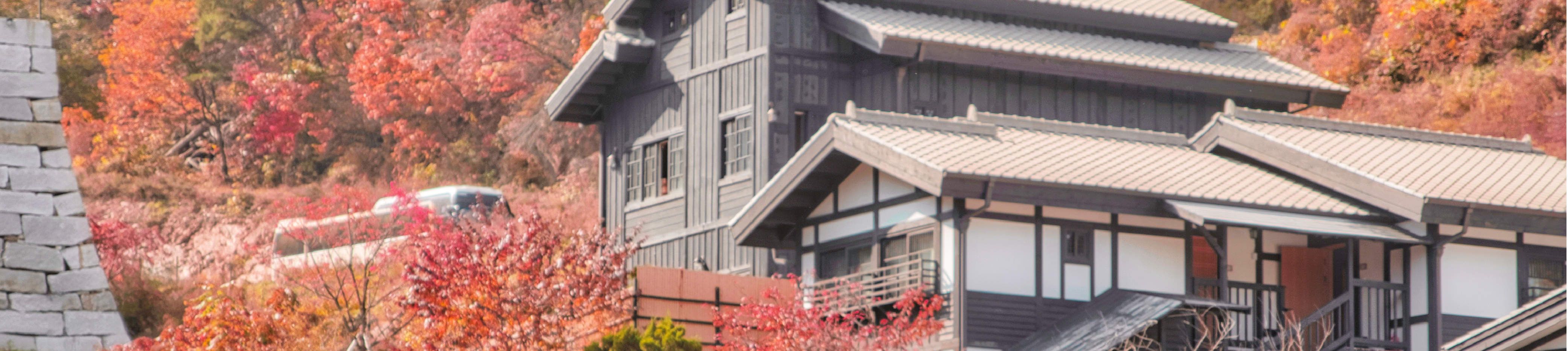 Nami Island & Nijimori Japan & Morning Calm & Railbike & Alpaca - Klook