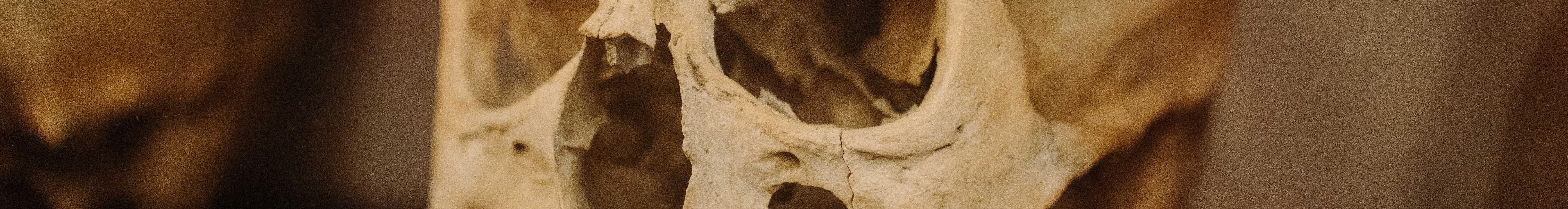 After-hours Catacombs tour with bone crypt entry in Rome - Klook Россия