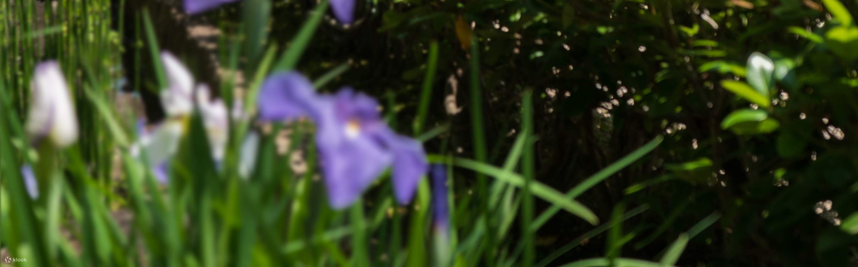 Museum Seni MOA (Shizuoka) - Klook Indonesia