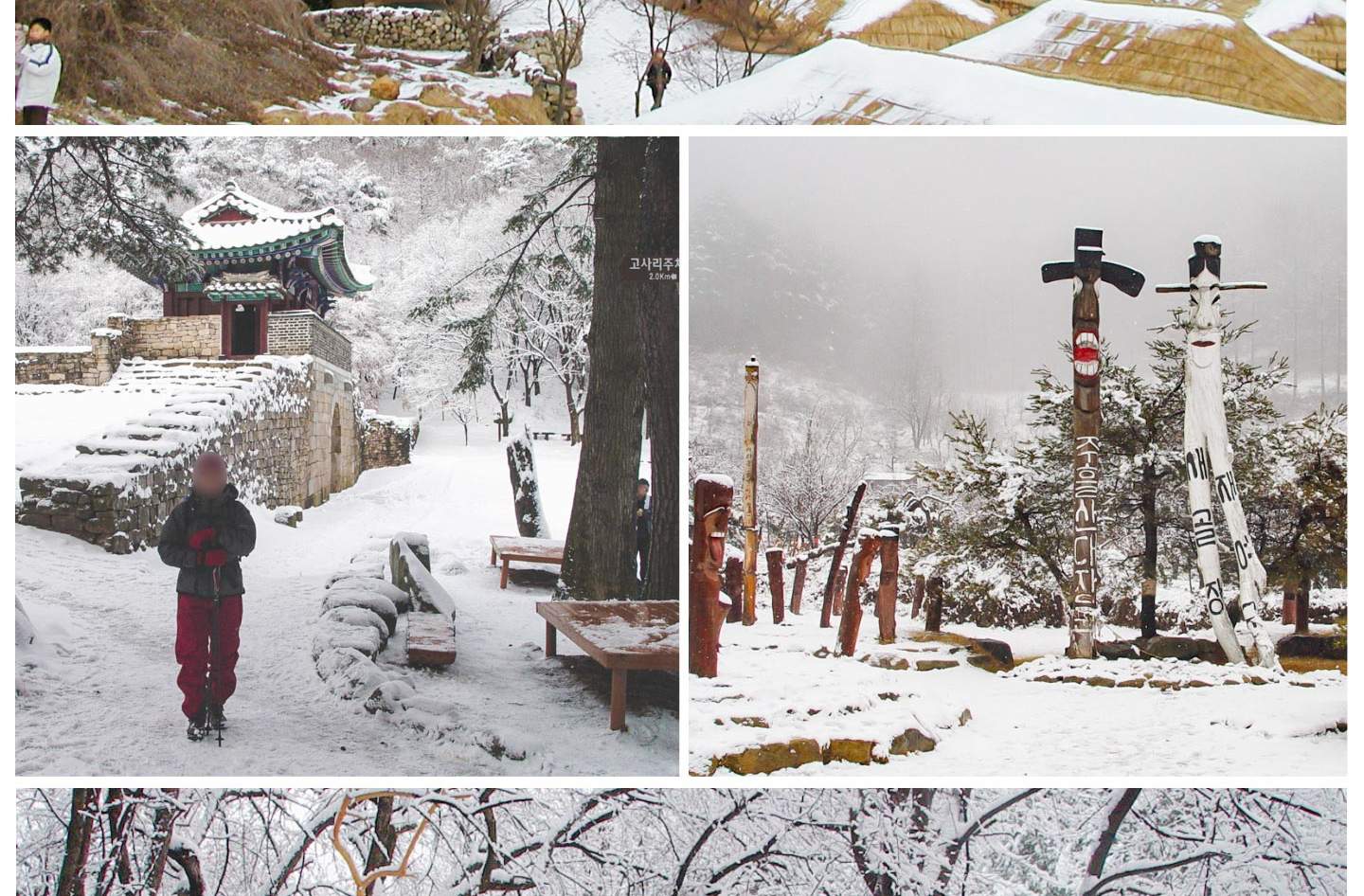 Snow & Meal Day Tour from Seoul - Snow Blossom Tour Packages - Klook India