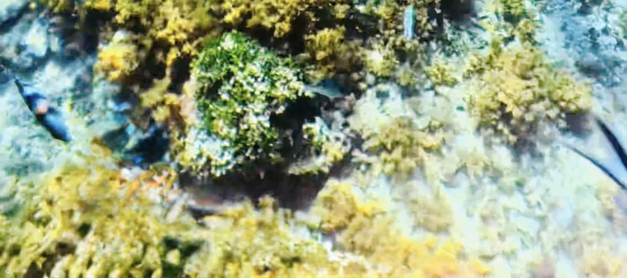Jet Ski Tour 180-Minute Course (No License Required): Snorkeling ...