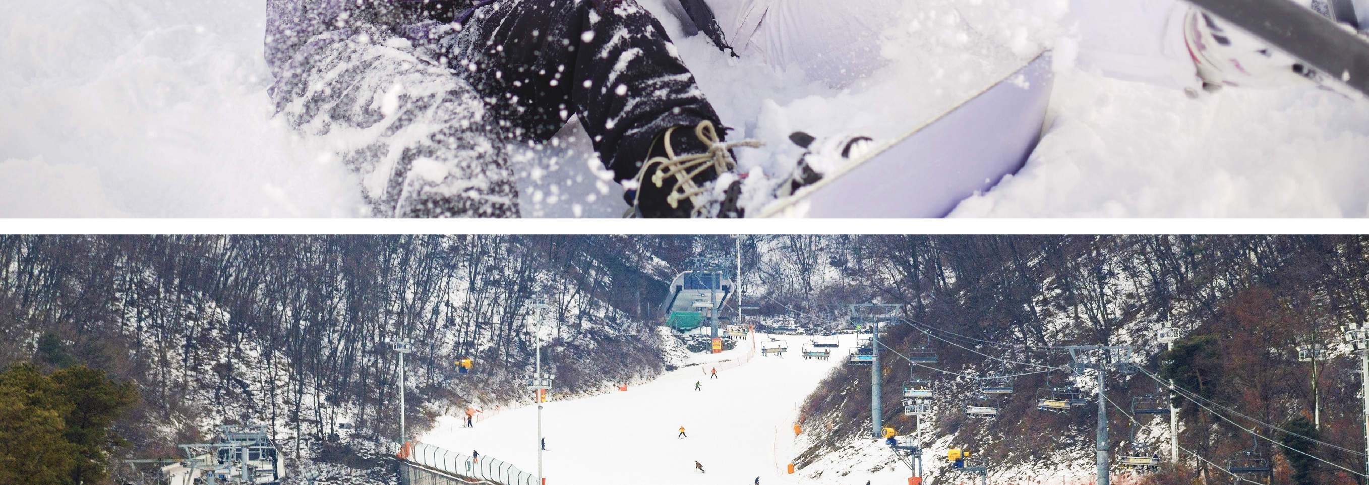 Jisan Forest Ski Resort Sightseeing Trip and Winter Sports Experience ...