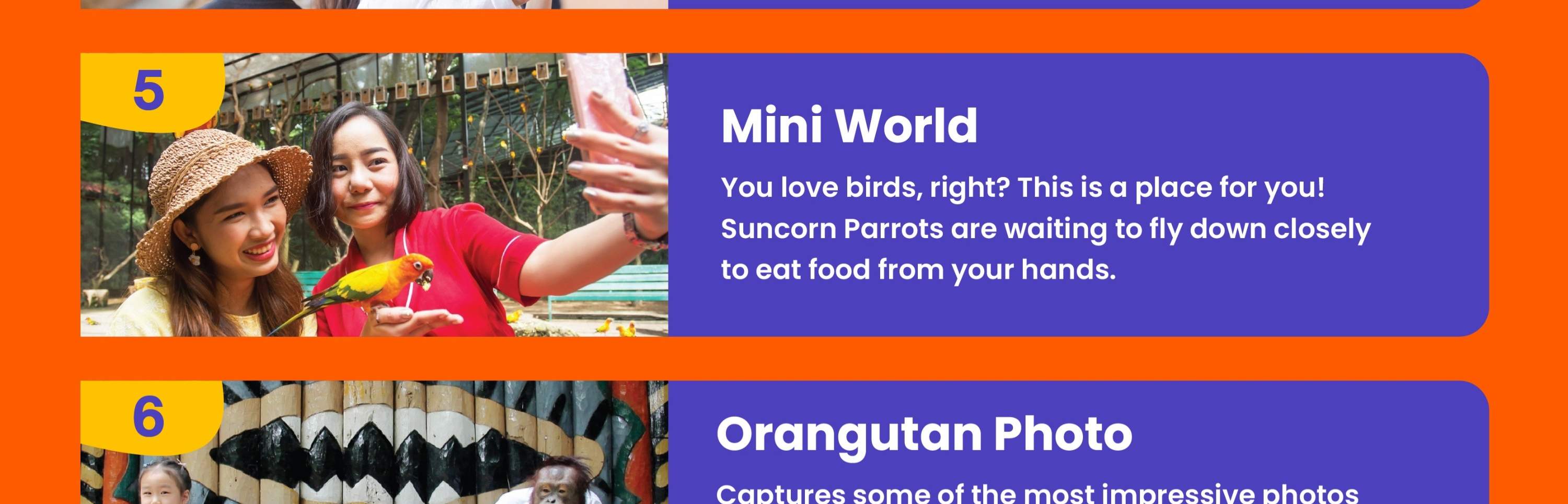 Buy Bangkok Safari World Tickets Online and Meet Exotic Animals - Klook