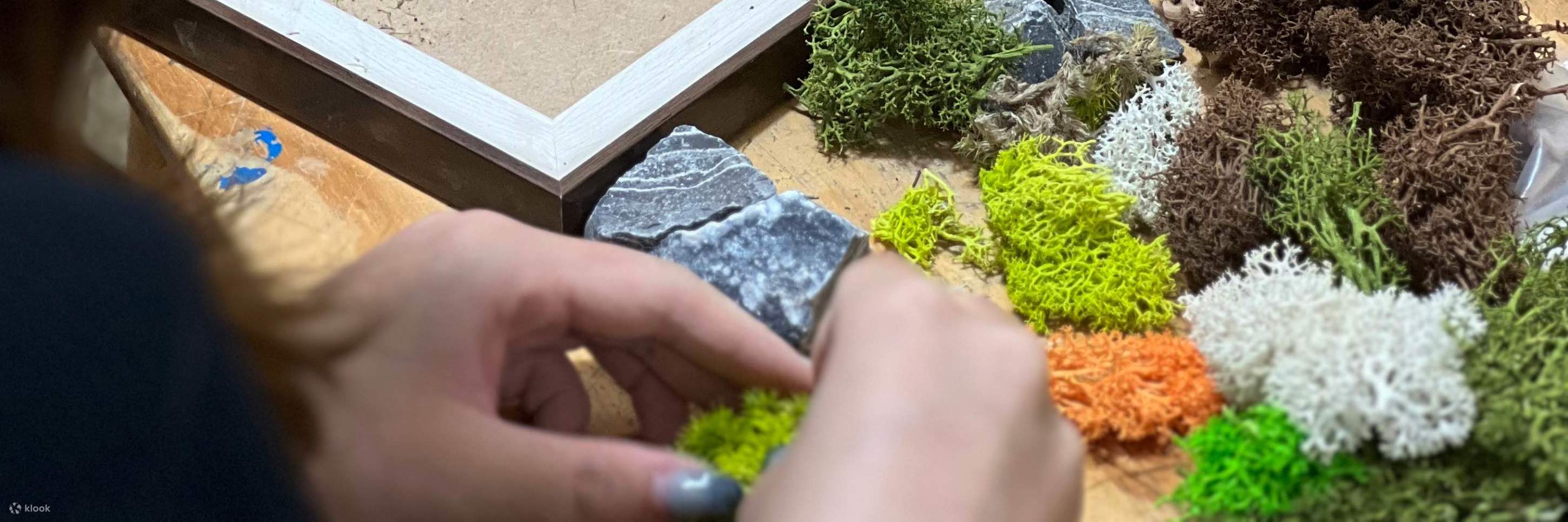 Preserved Moss Frame Workshop: Create Your Own Moss Art - Klook United ...