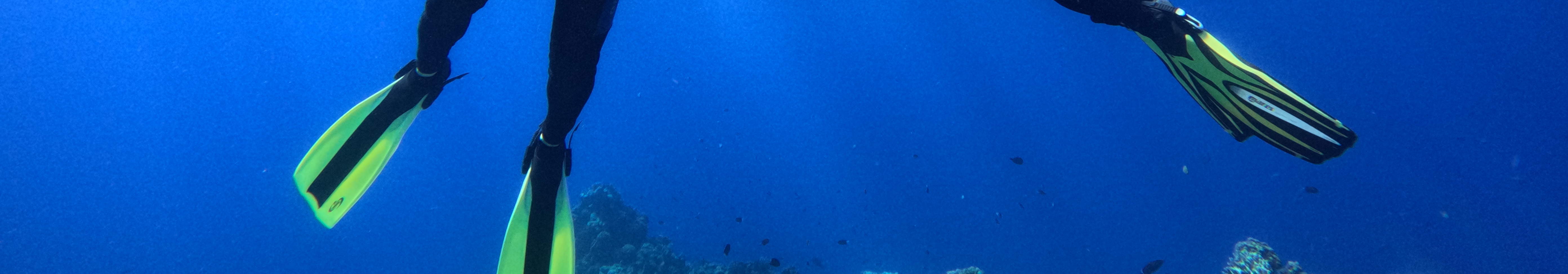 Explore the Depths with Our Premium Open Water Diver Course in Stunning ...