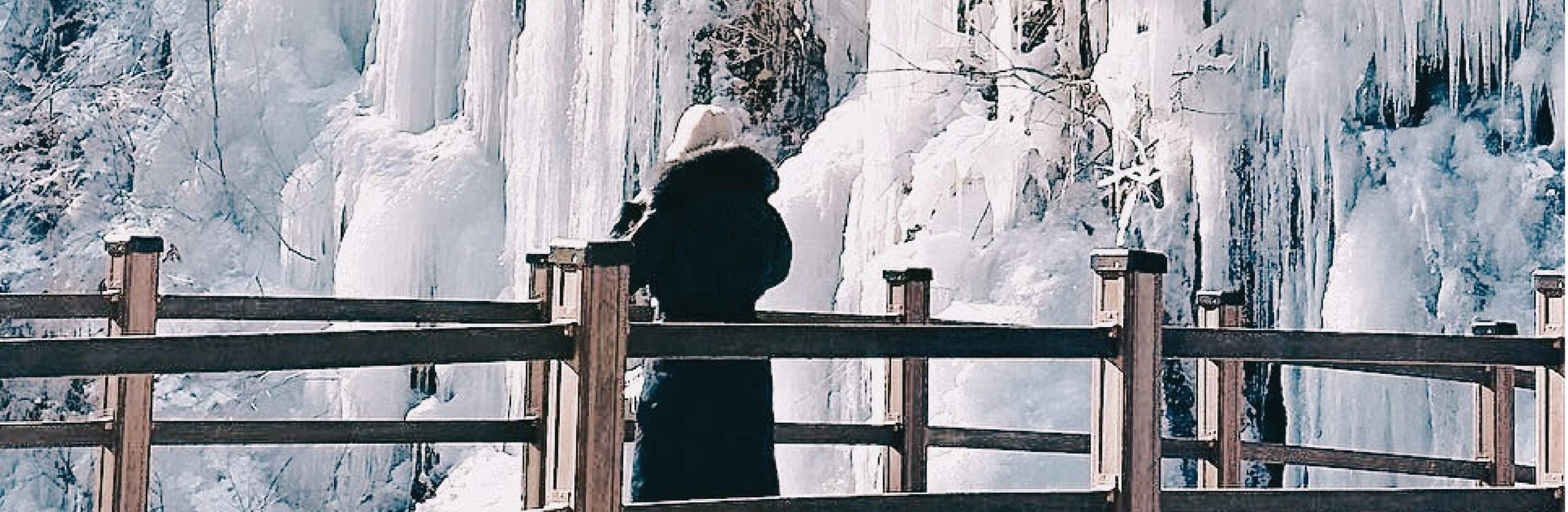 Nami Island & Eobi Ice Valley & Panorama Field & Morning Calm Tour - Klook