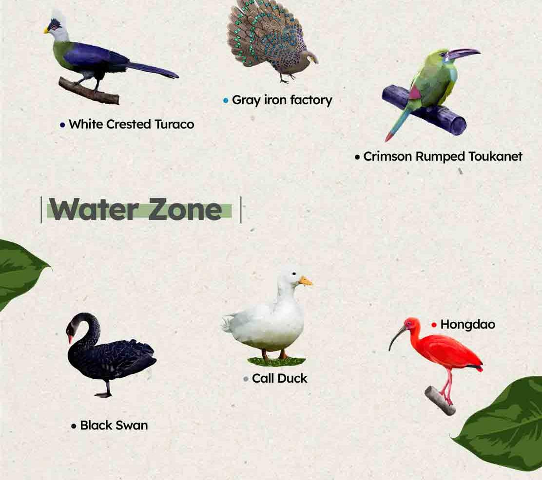 Gyeonggi Begonia Bird Park Ticket - Klook
