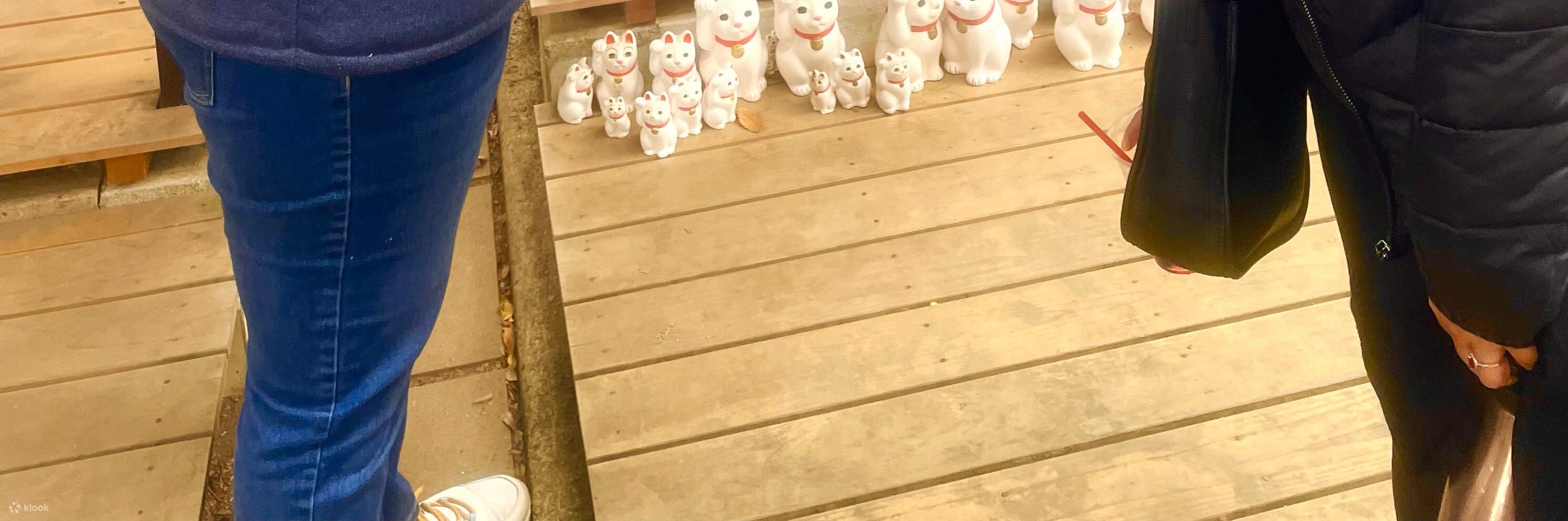 Tokong Kucing Gotokuji, kafe Kucing Shinjuku dan lawatan Kucing 3D (Tokyo) - Klook Amerika Syarikat