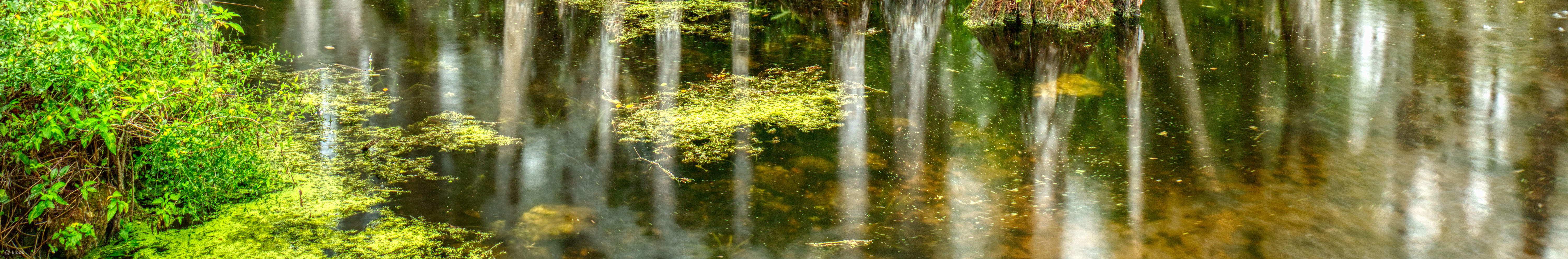 Big Cypress Florida Self-Guided Driving Audio Tour - Klook United States