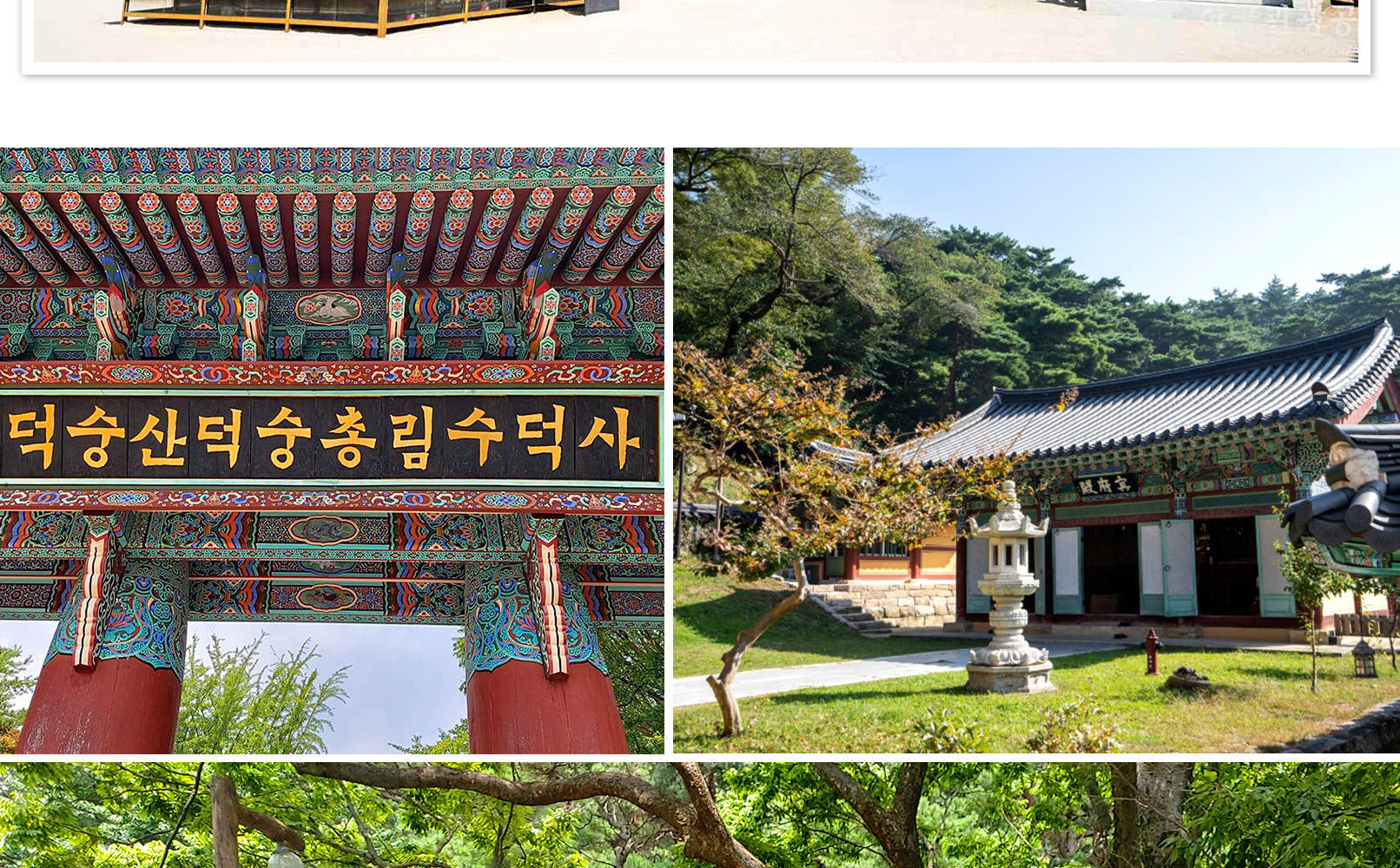 Boryeong Mud Festival & Daecheon Beach & Sudeoksa Temple Tour - Klook ...