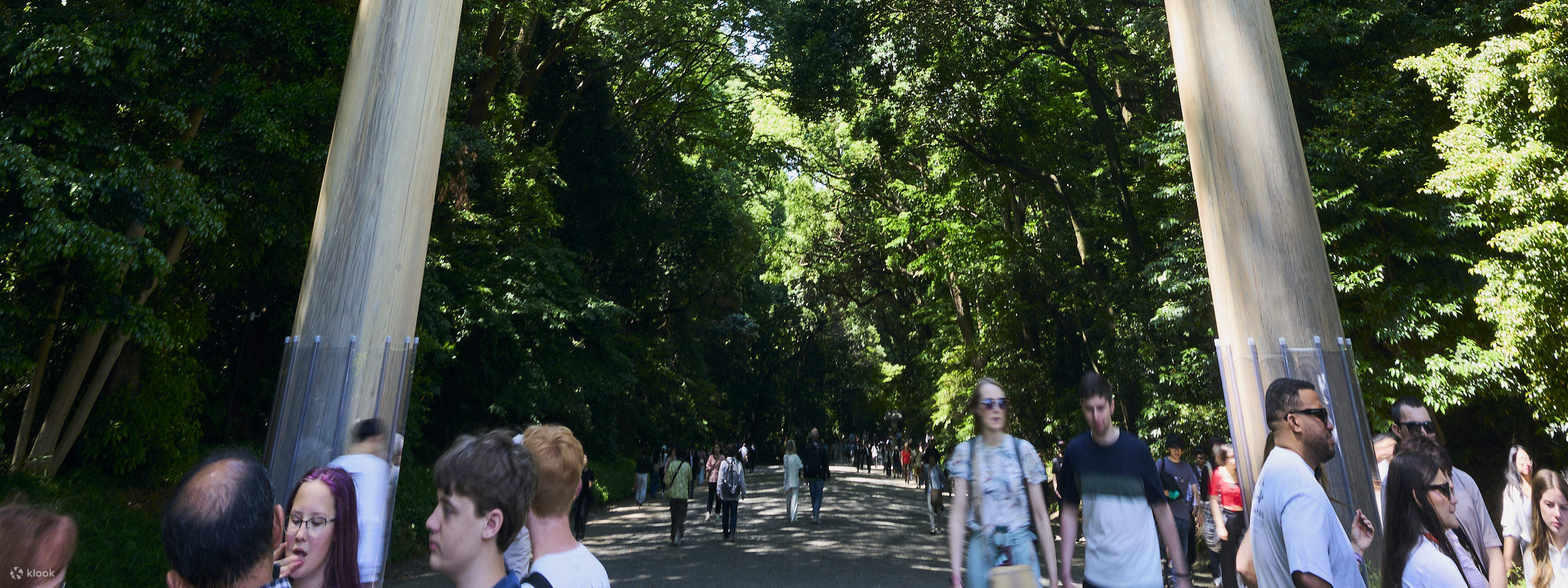 Shibuya Walking Tour with a Local Guide, Meiji Shrine in Tokyo - Klook