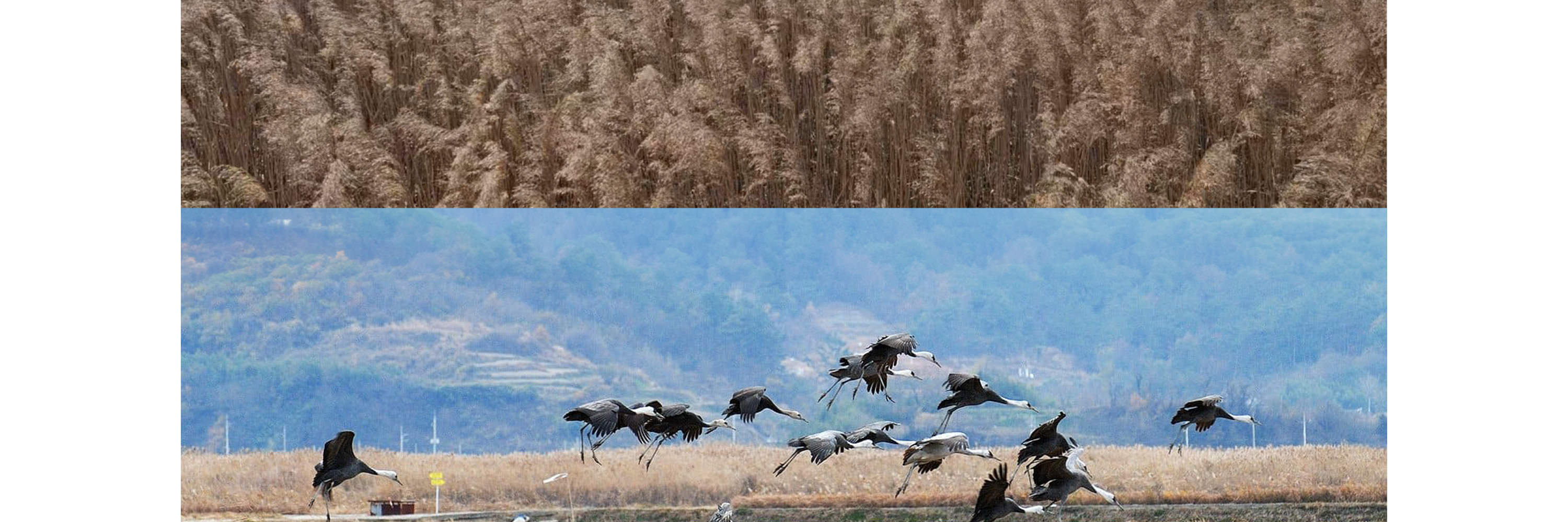 Suncheon One Day Tour - Klook United States