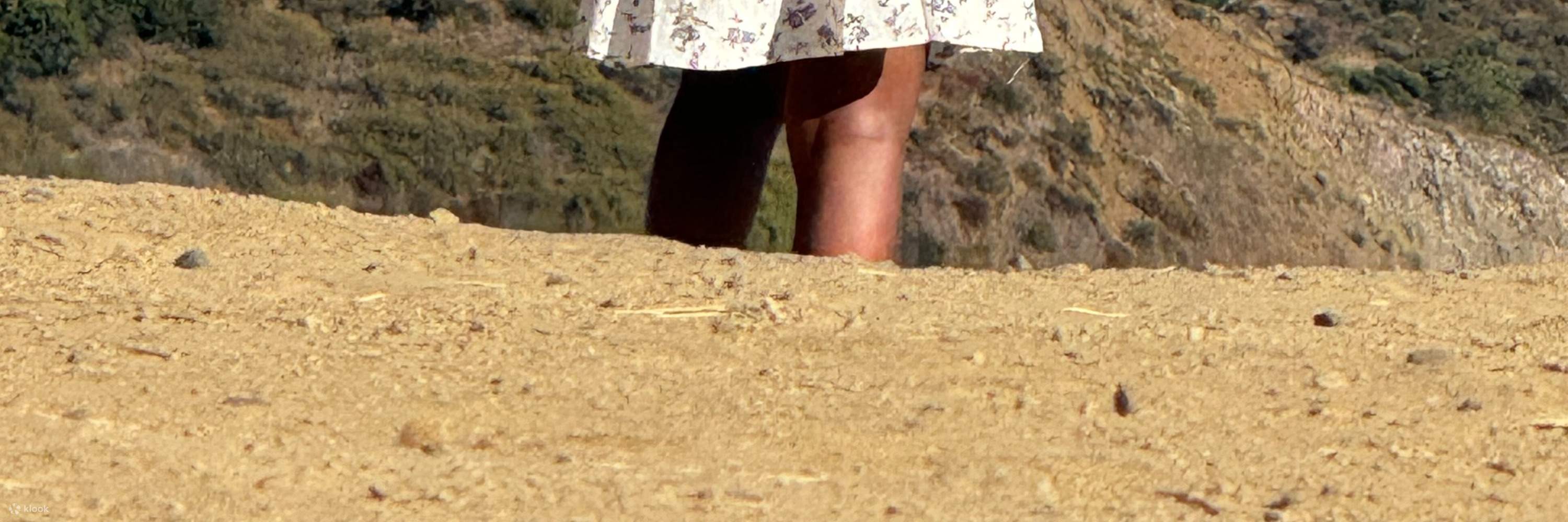 los angeles hollywood sign express walking tour, los angeles hollywood ...